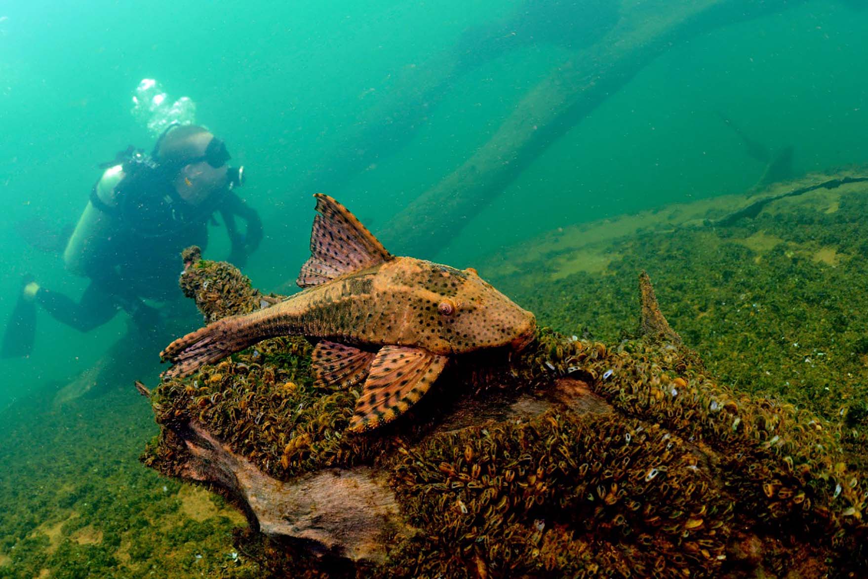 Porto Rico | VIAJE PARANÁ