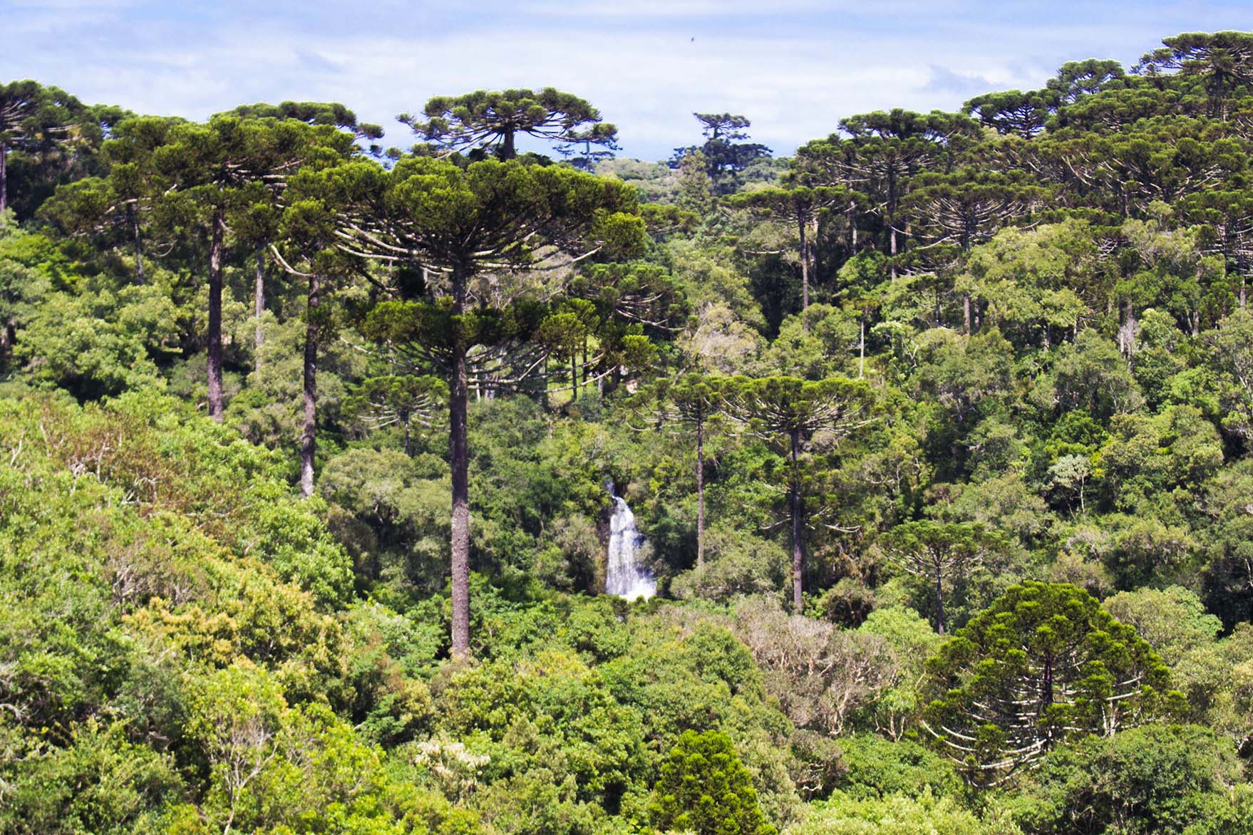 Turvo | VIAJE PARANÁ
