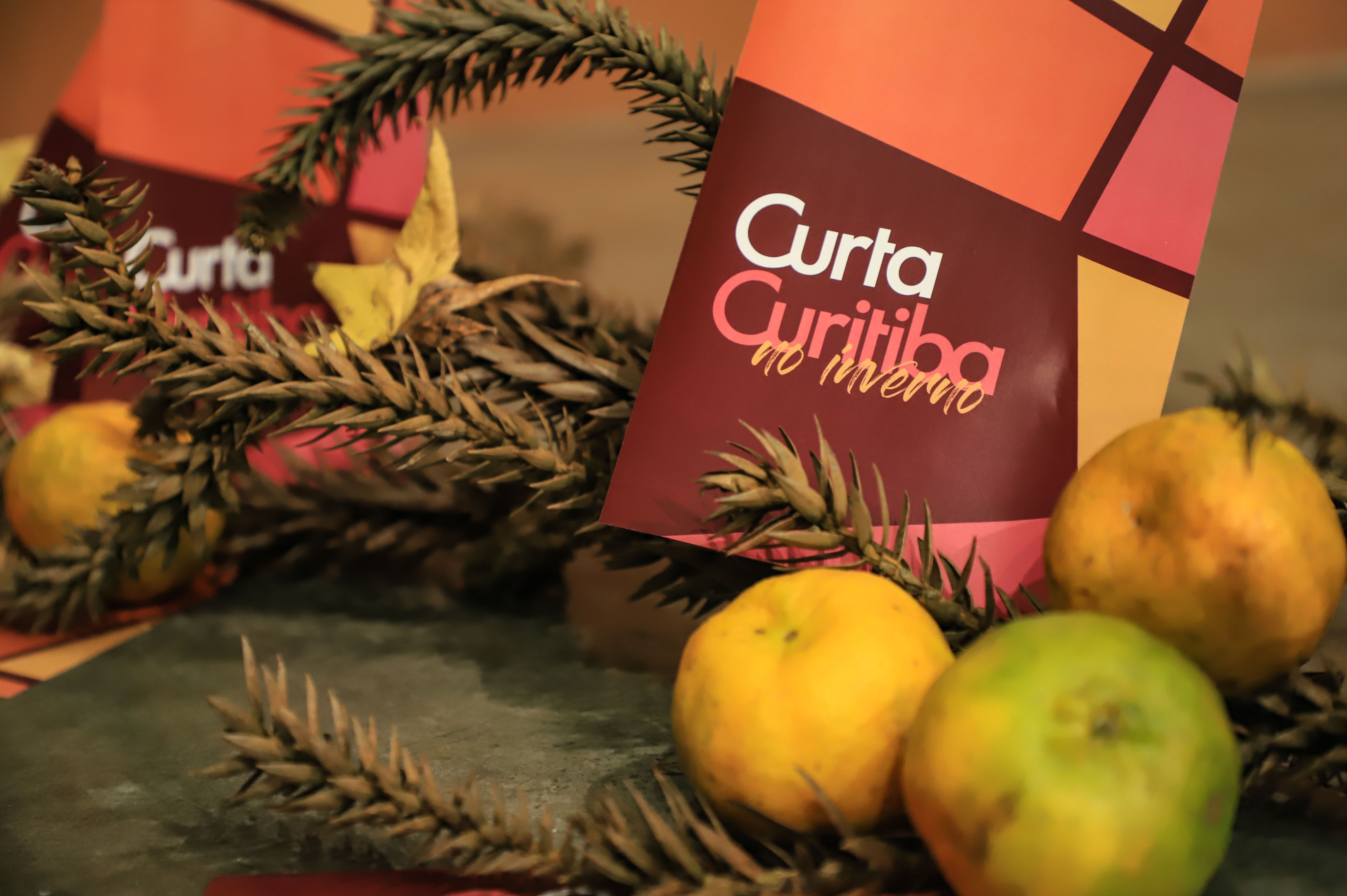 Viaje Paraná apoia atrações do turismo para o Inverno de Curitiba ...