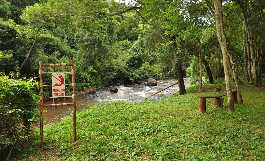 Centenário Do Sul Viaje ParanÁ